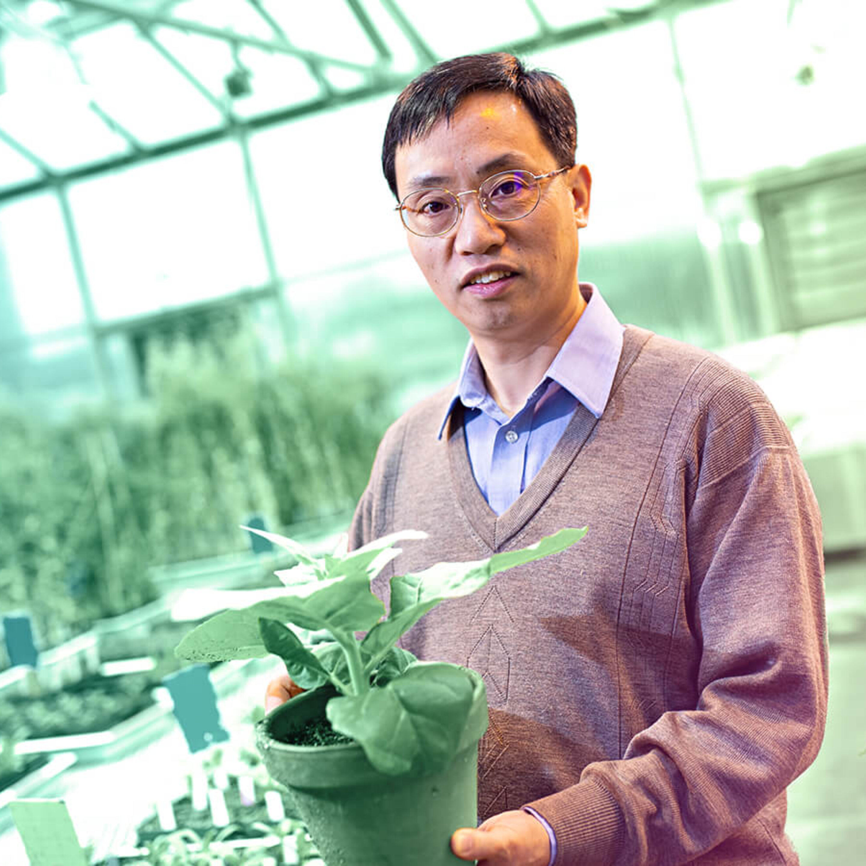 Lirong Zeng | Center for Plant Science Innovation | Nebraska