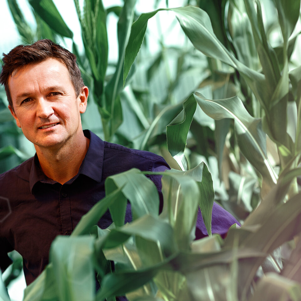 Faculty | Center for Plant Science Innovation | Nebraska